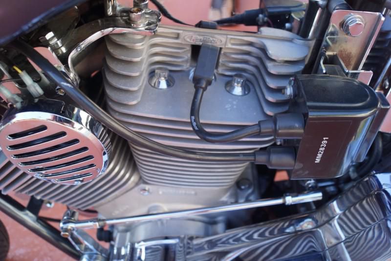 Buy 2006 DLS Custom CHOPPER, Revtech 100 inch engine on 2040-motos